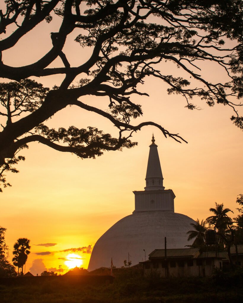The Land of Lost Kingdoms - Ceylon Life